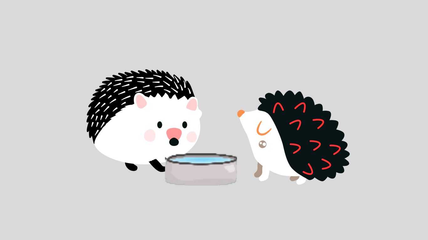 Healthy and Poisonous Food Items for Hedgehogs | Care My Pet