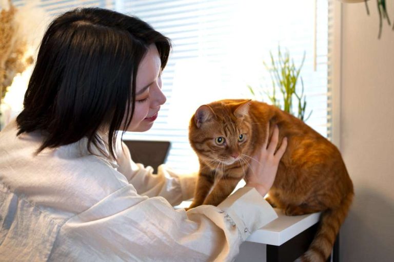 Understanding Your Cat’s Body Language | Decode Feline Signals