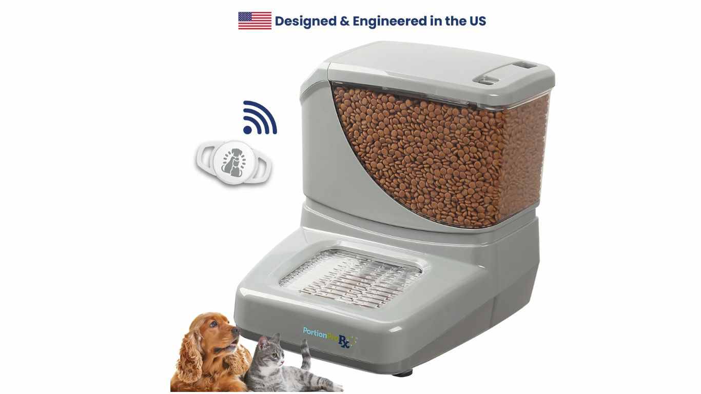 The Rise of Smart Pet Homes | Revolutionizing Pet Care